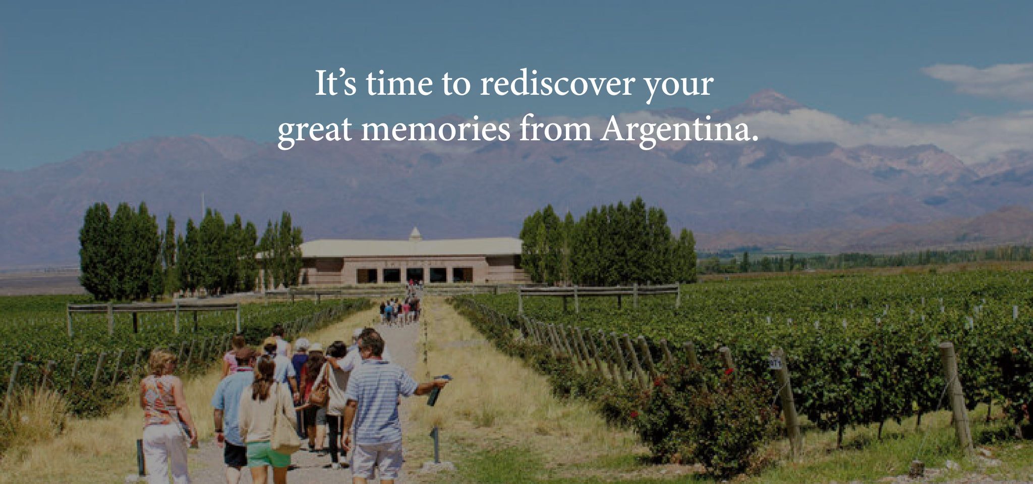 Wine Window Argentina. Best Argentinian wine selection to your door.