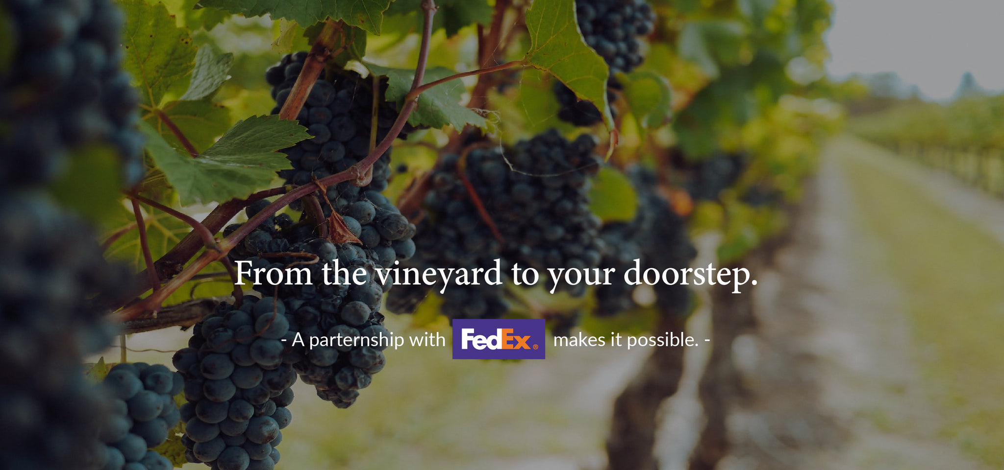 Wine Window Argentina. Best Argentinian wine selection to your door.