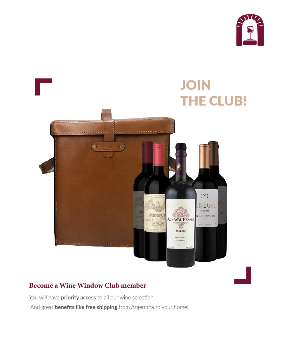 Cabernet Sauvignon Combo – Wine Window Argentina