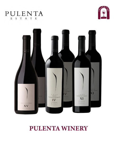 Pulenta Winery – Wine Window Argentina